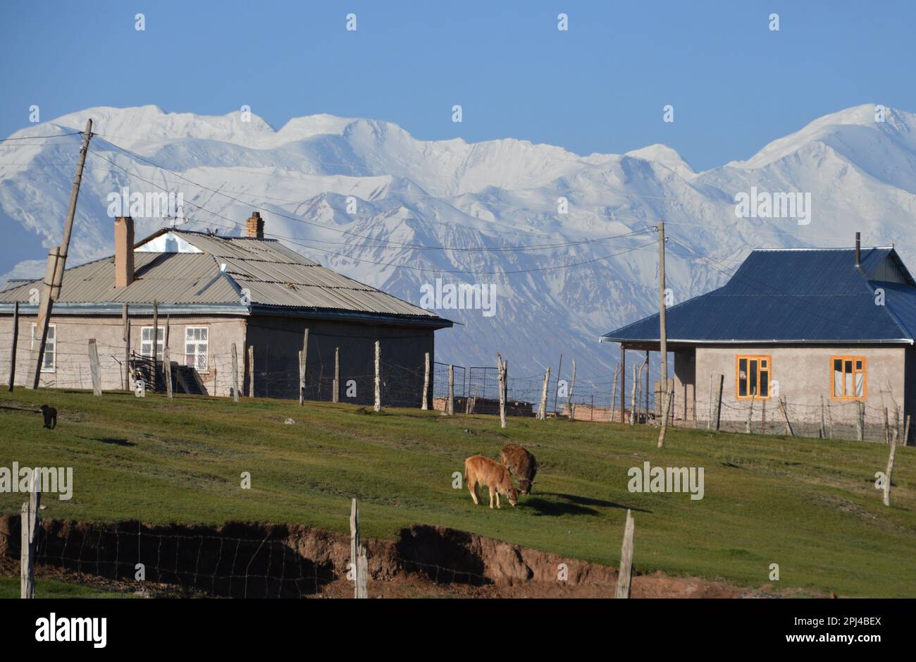 Kyrgyzstan, Osh Oblast (Province), Sary-Tash: this village lies at an ...