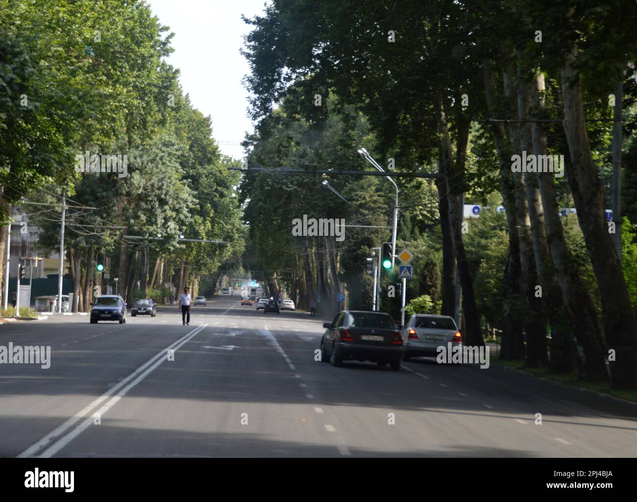 Tajikistan, Dushanbe, capital city: Rudaki Avenue, the tree-lined main ...