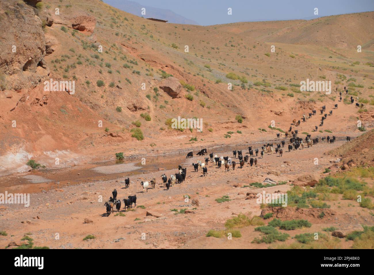 Uzbekistan, Surkhandarya Province: landscape en route to Termiz ...