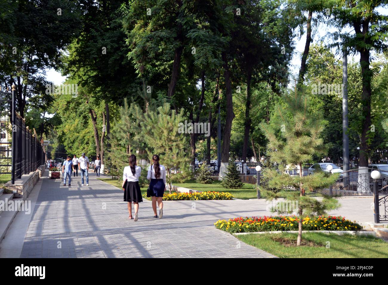 Uzbekistan, Samarkand: spacious, tree-lined University Boulevard Stock ...