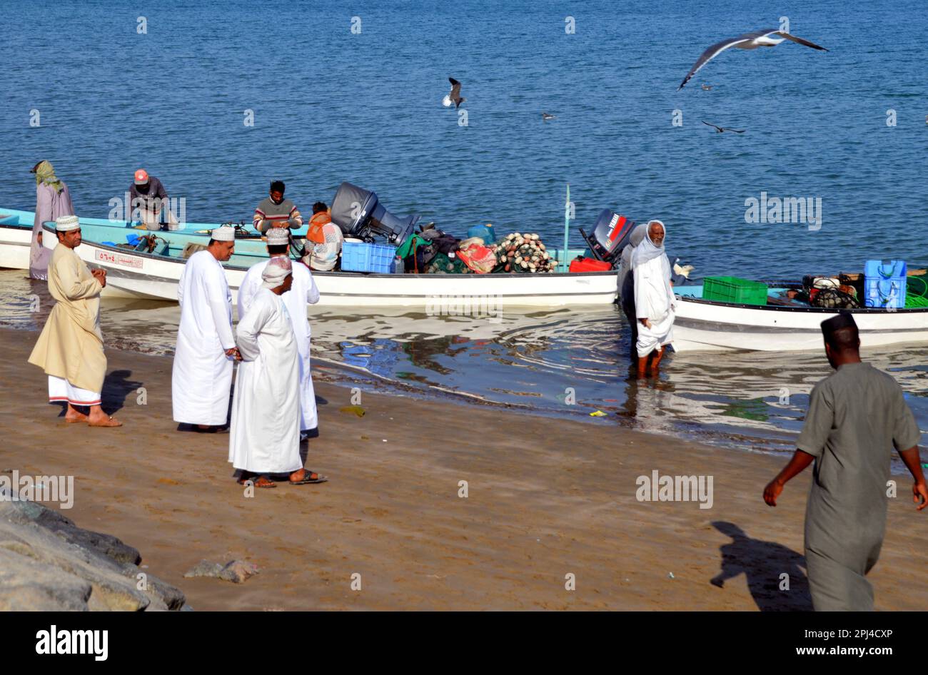 Oman, Barka: unloading the latest catch from the fishing boats ...