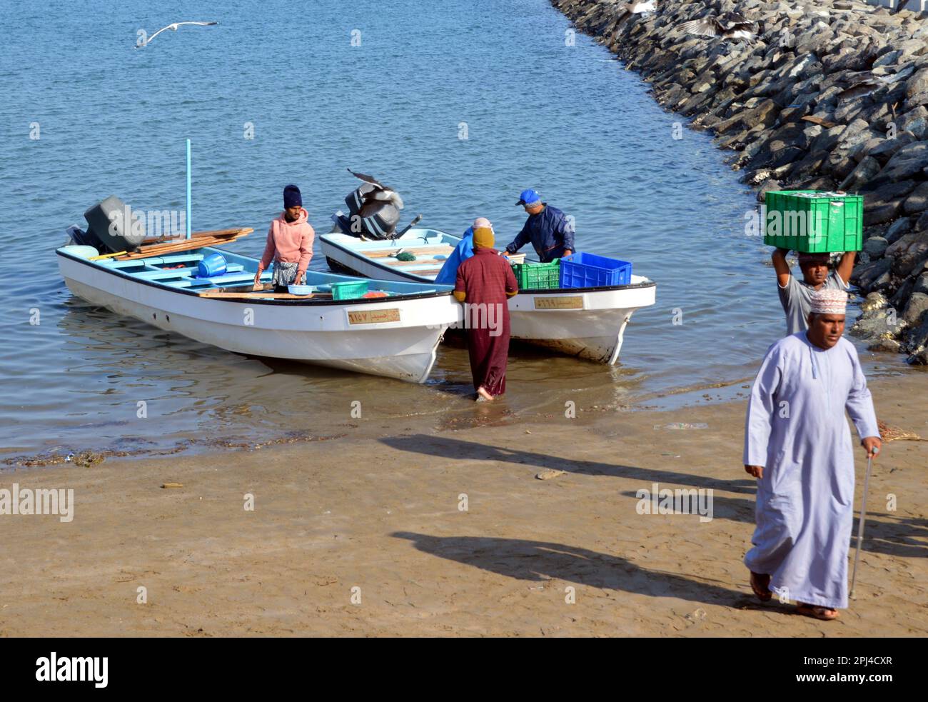 Oman, Barka: unloading the latest catch from the fishing boats ...