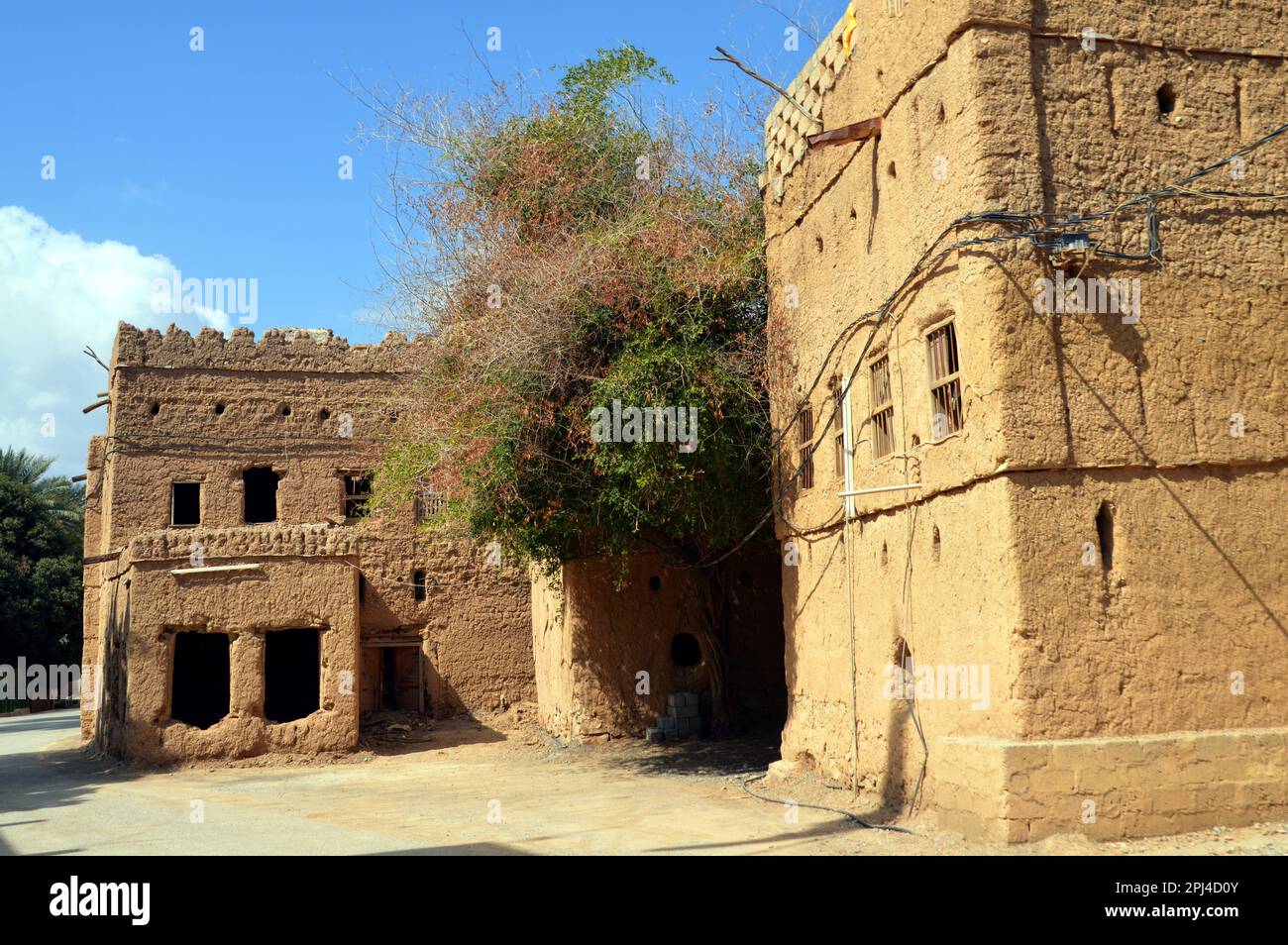 Oman, Al Hamra: traditional mud brick buildings in the old quarter are ...