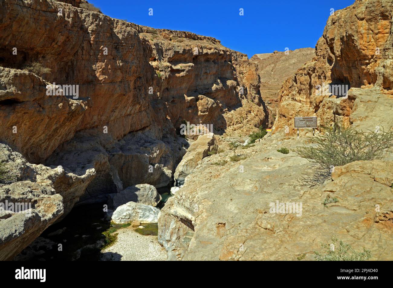 Oman, Wadi al Khalid: view into the rugged steep-sided gorge Stock ...