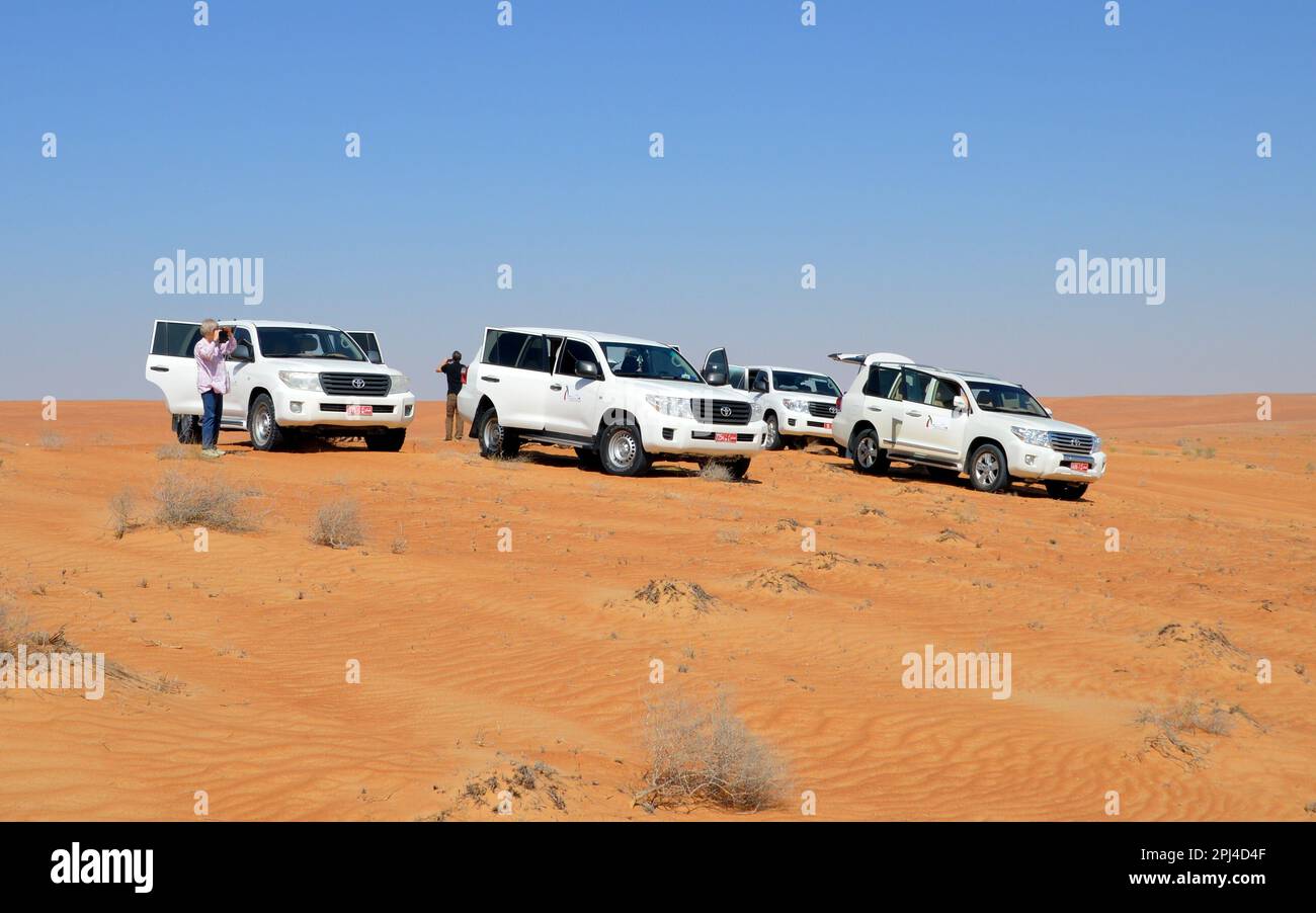 Oman: Toyota Landcruisers in the Wahiba Sands, south of Al Wasil Stock ...