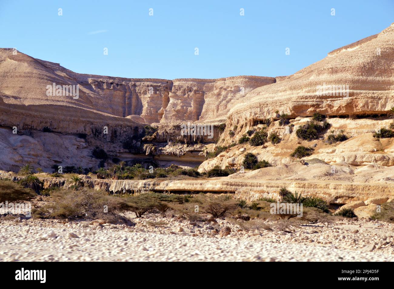 Oman: rugged limestone scenery of Wadi Shuwaymiyah Stock Photo - Alamy