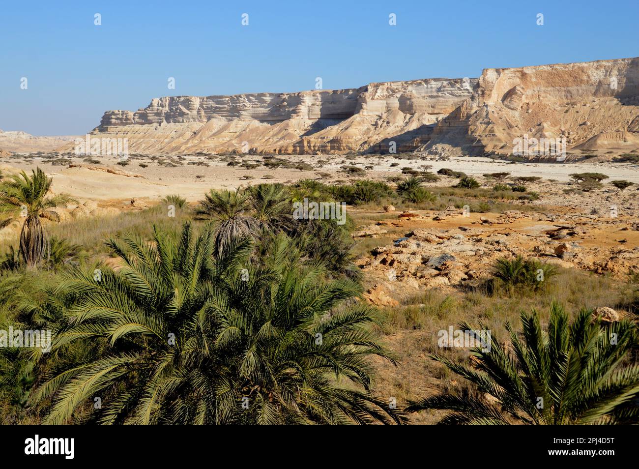 Oman: rugged limestone scenery of Wadi Shuwaymiyah, with its long ...