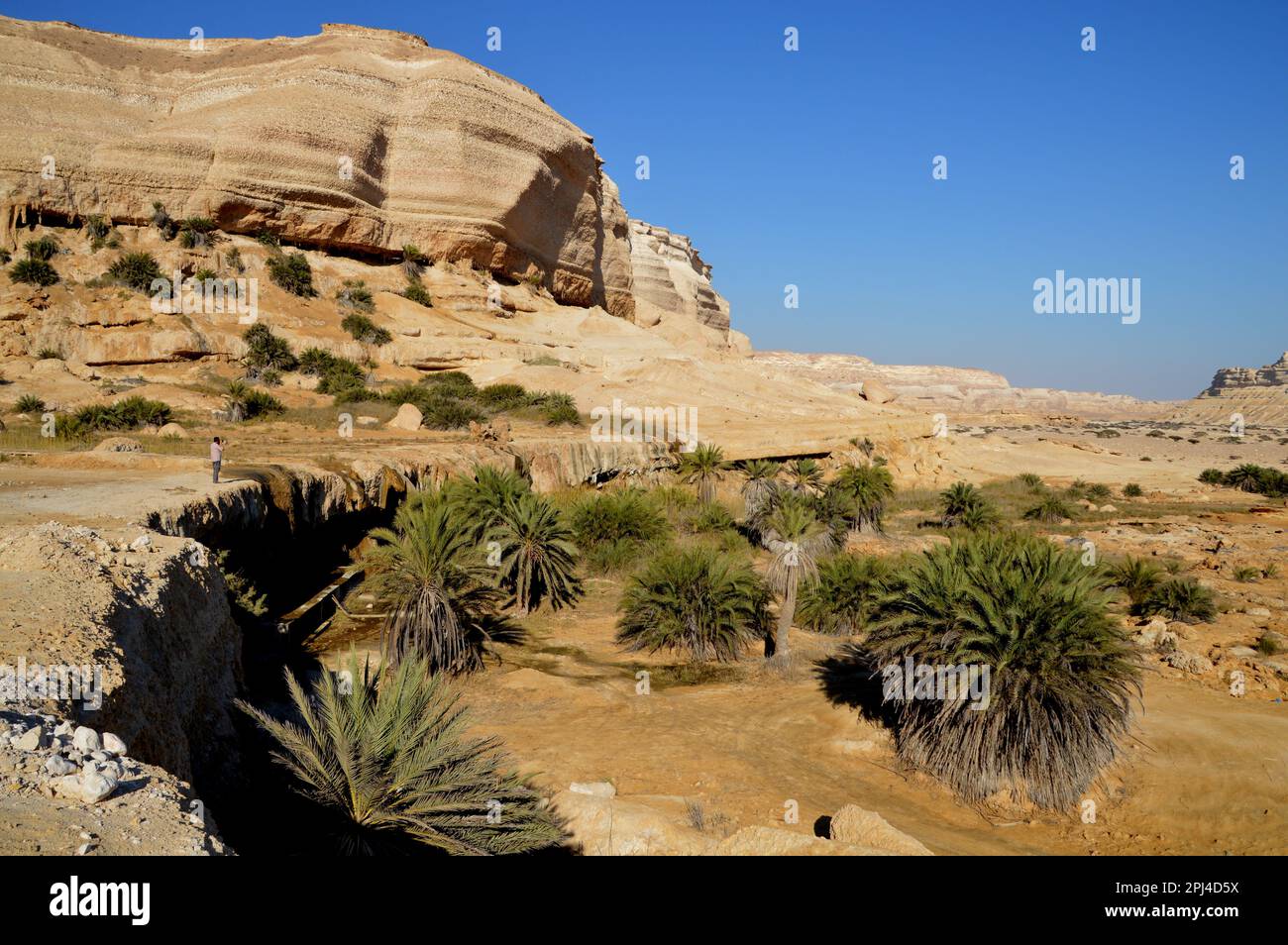 Oman: rugged limestone scenery of Wadi Shuwaymiyah, with its long ...