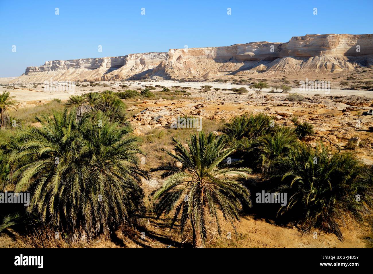 Oman: rugged limestone scenery of Wadi Shuwaymiyah, with its long ...