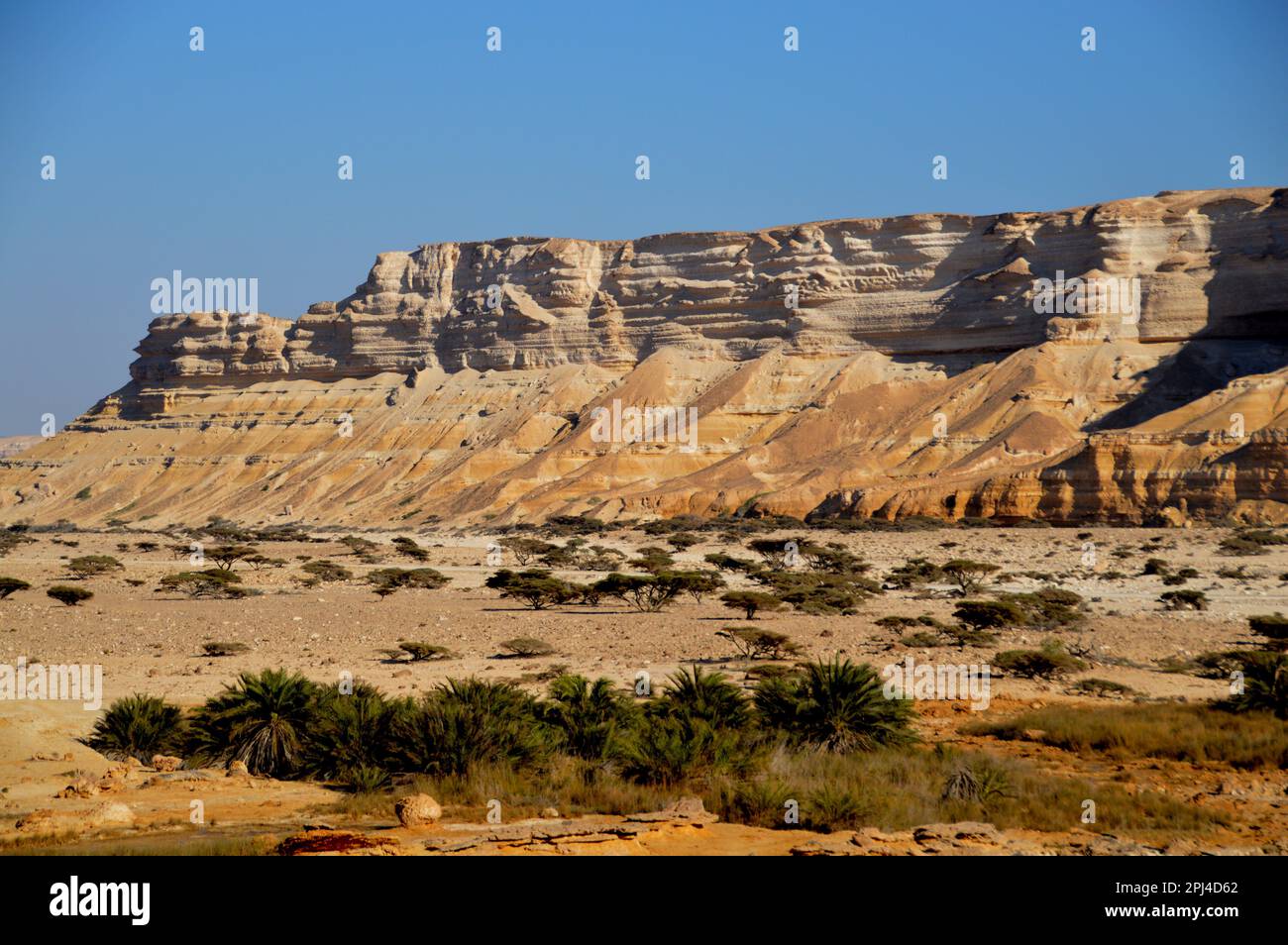 Oman: rugged limestone scenery of Wadi Shuwaymiyah, with its long ...