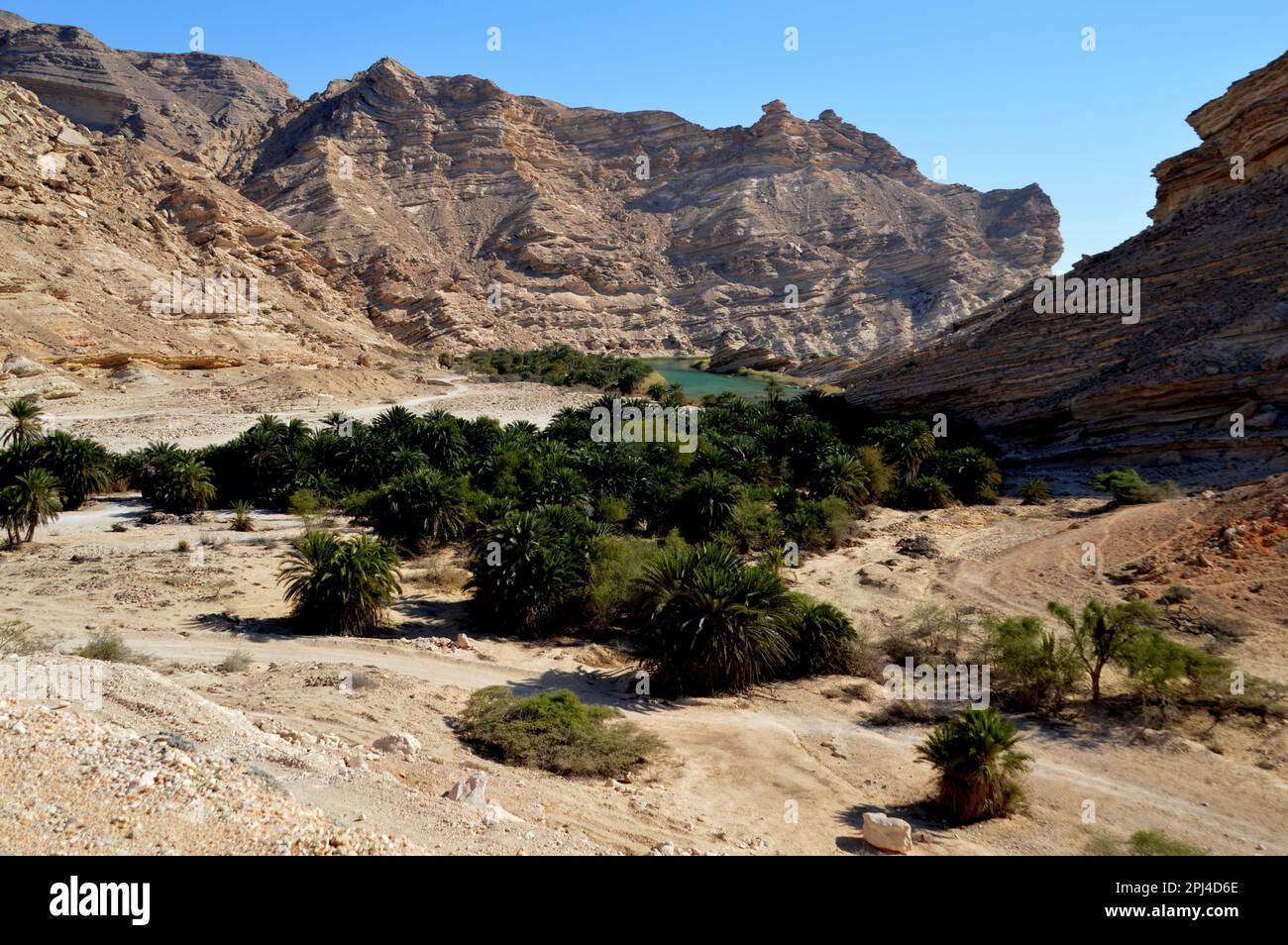Oman: an oasis with a pool of emerald water, backed by dramatic cliffs ...