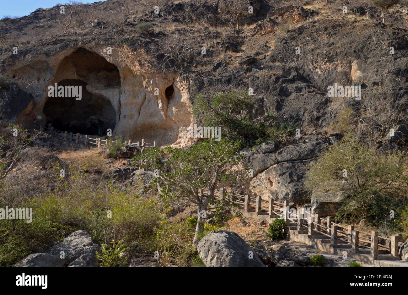 Oman: Ain Razat freshwater spring, view of the caves Stock Photo - Alamy