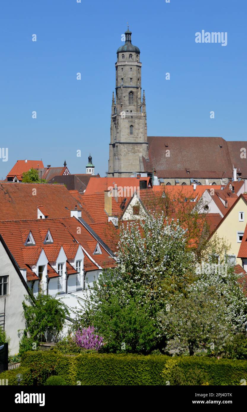Germany, Bavaria, Swabia, Nördlingen: tower of St. Georges Church ...