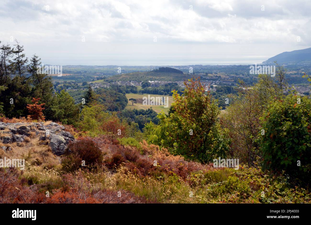 Northern Ireland, County Down, Castlewellan Forest Park: the castle was ...