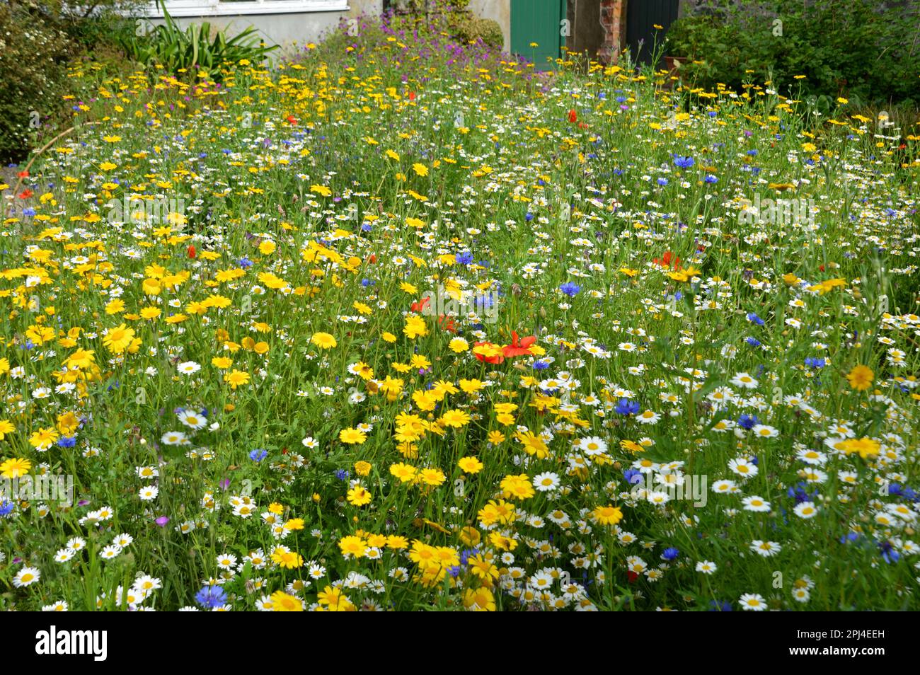 Northern Ireland, County Down, Saintfield: Rowallane Gardens (National ...