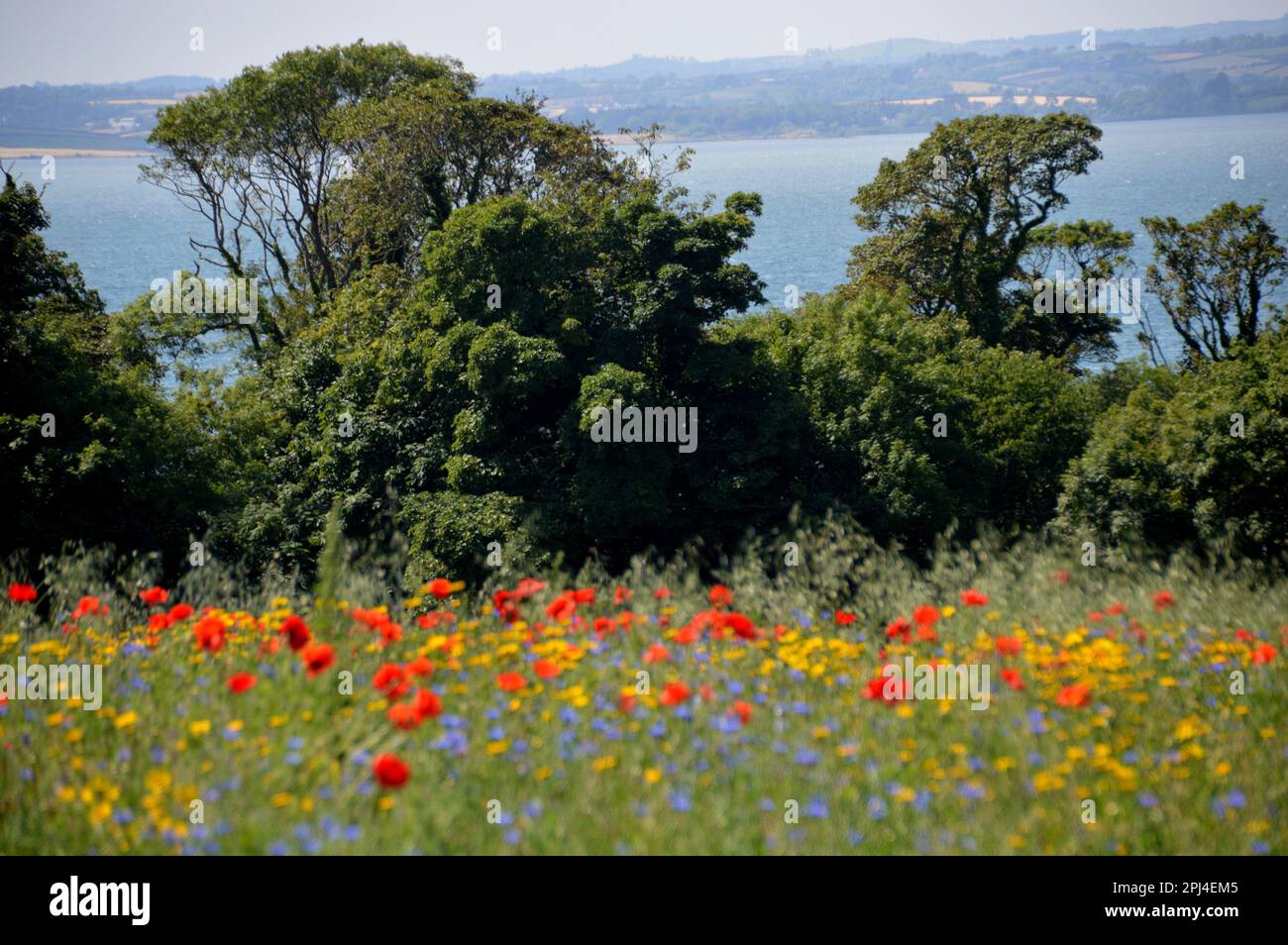 Northern Ireland, County Down: Mount Stewart (National Trust), home of ...
