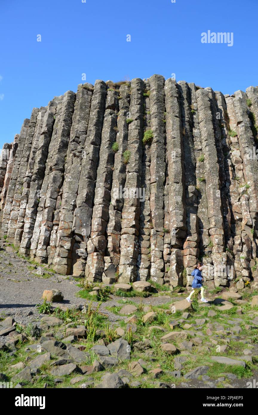 Northern Ireland, County Antrim, Causeway Coast: "the Giant's Loom", an ...