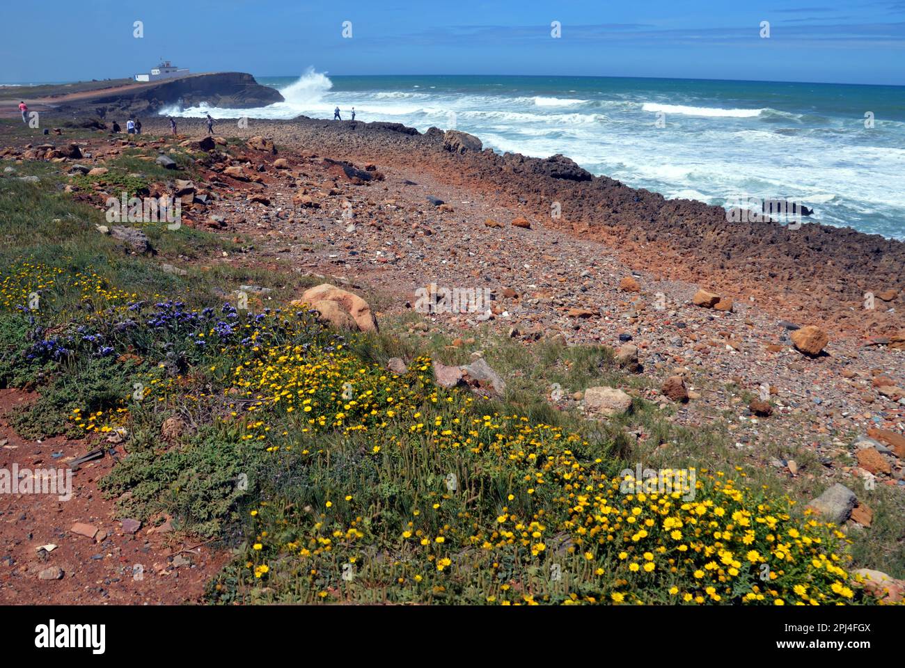 Morocco: the stony beach, pounded by Atlantic breakers, near Temara ...