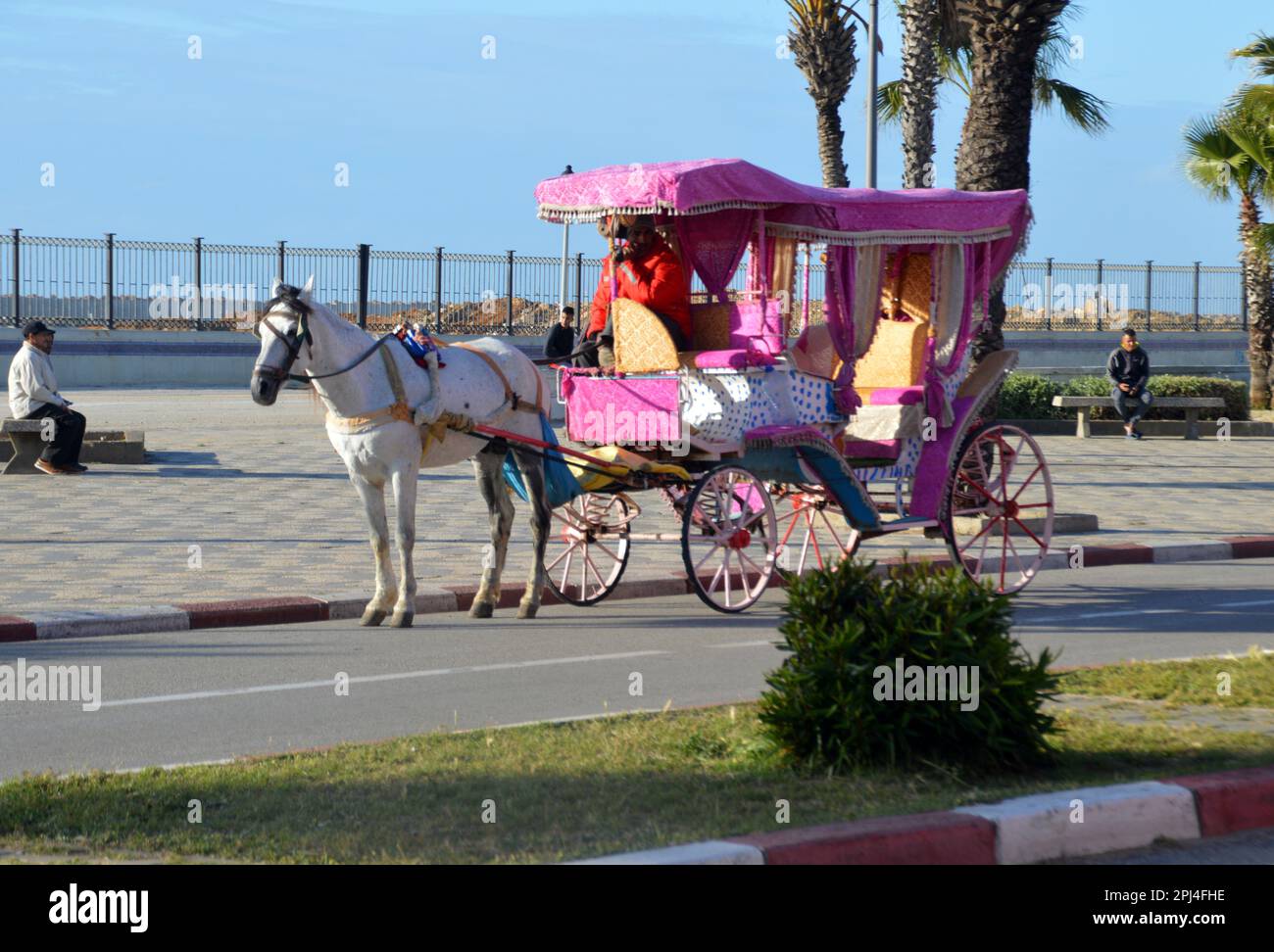 Morocco, Asilah: a colourful horse-drawn carriage awaits custom on the ...