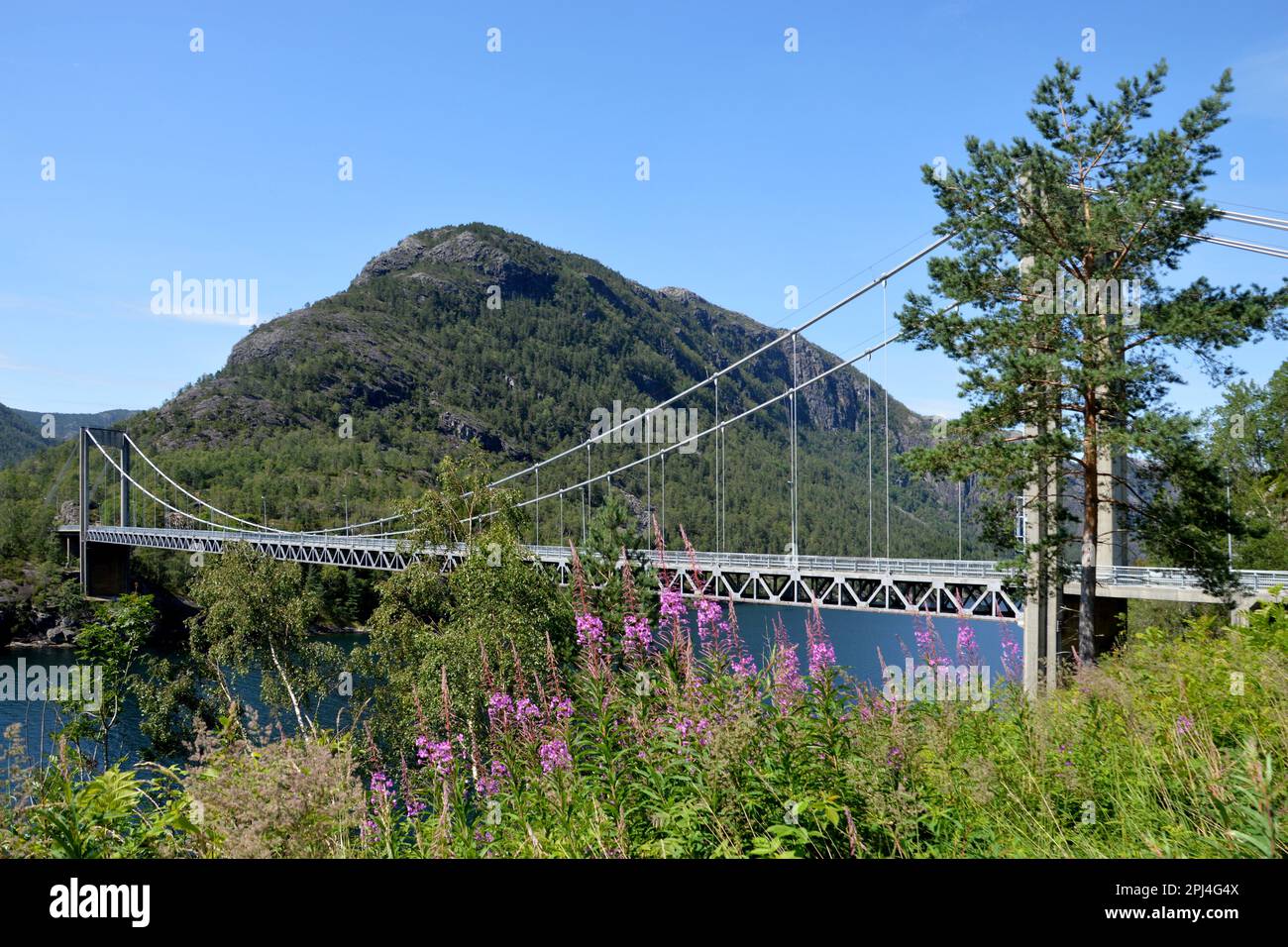 Norway, Rogaland: Erfjord Suspension Bridge, 294 metres long with three ...