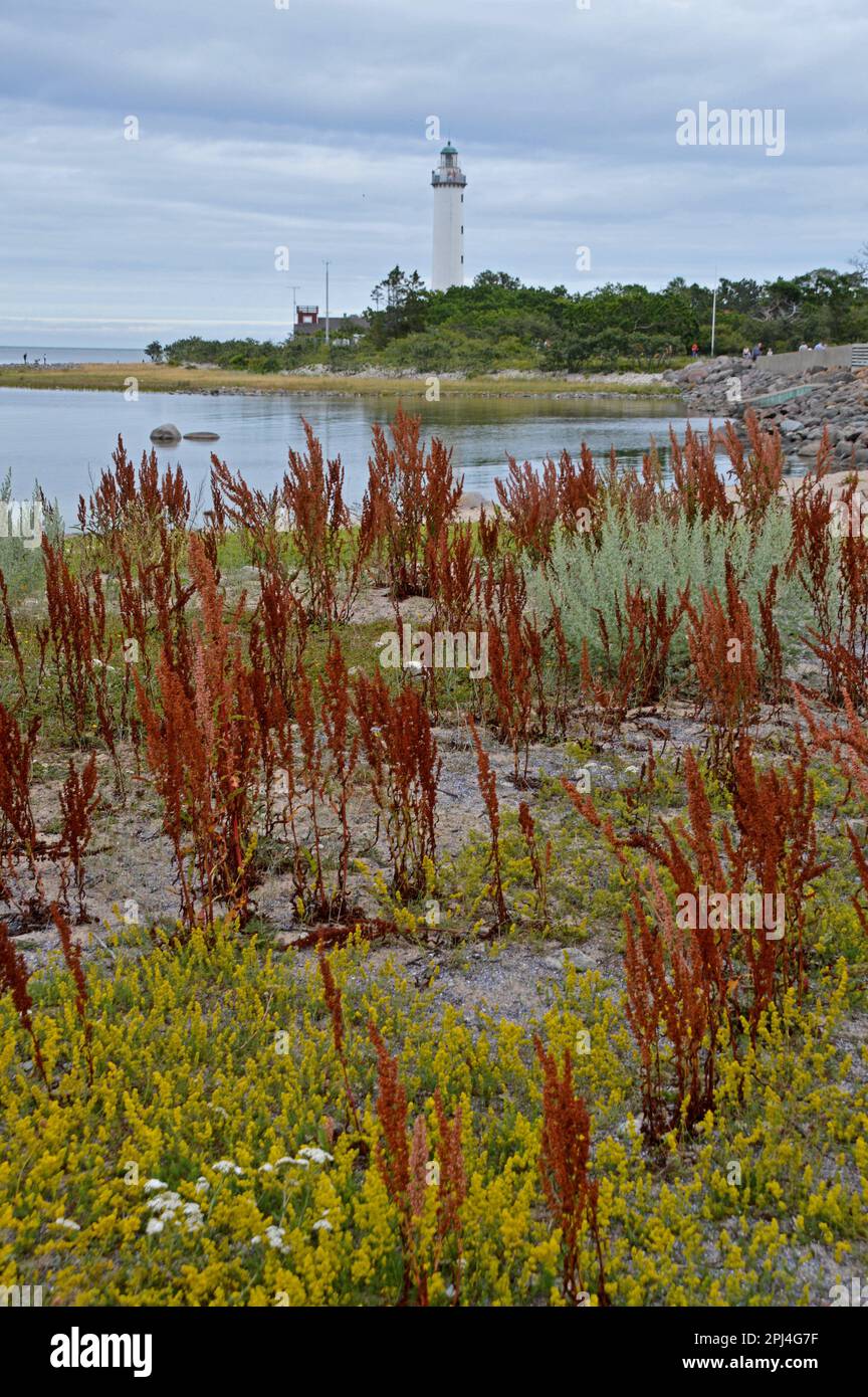 Sweden, Öland Island: built in 1844-5, the lighthouse "Lange Erik" is ...