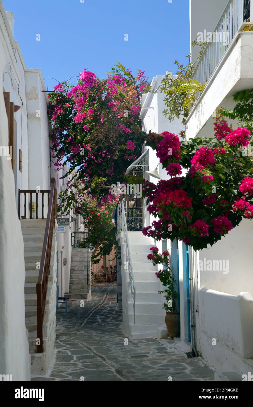 Greece, Island of Paros. Parikia: a typical alley in the old quarter ...