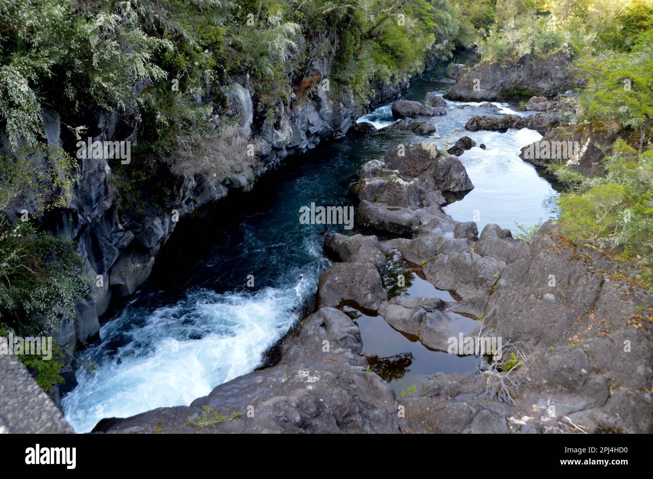 Chile. Puerto Varas: Vicente Perez Rosales National Park: the Petrohue ...
