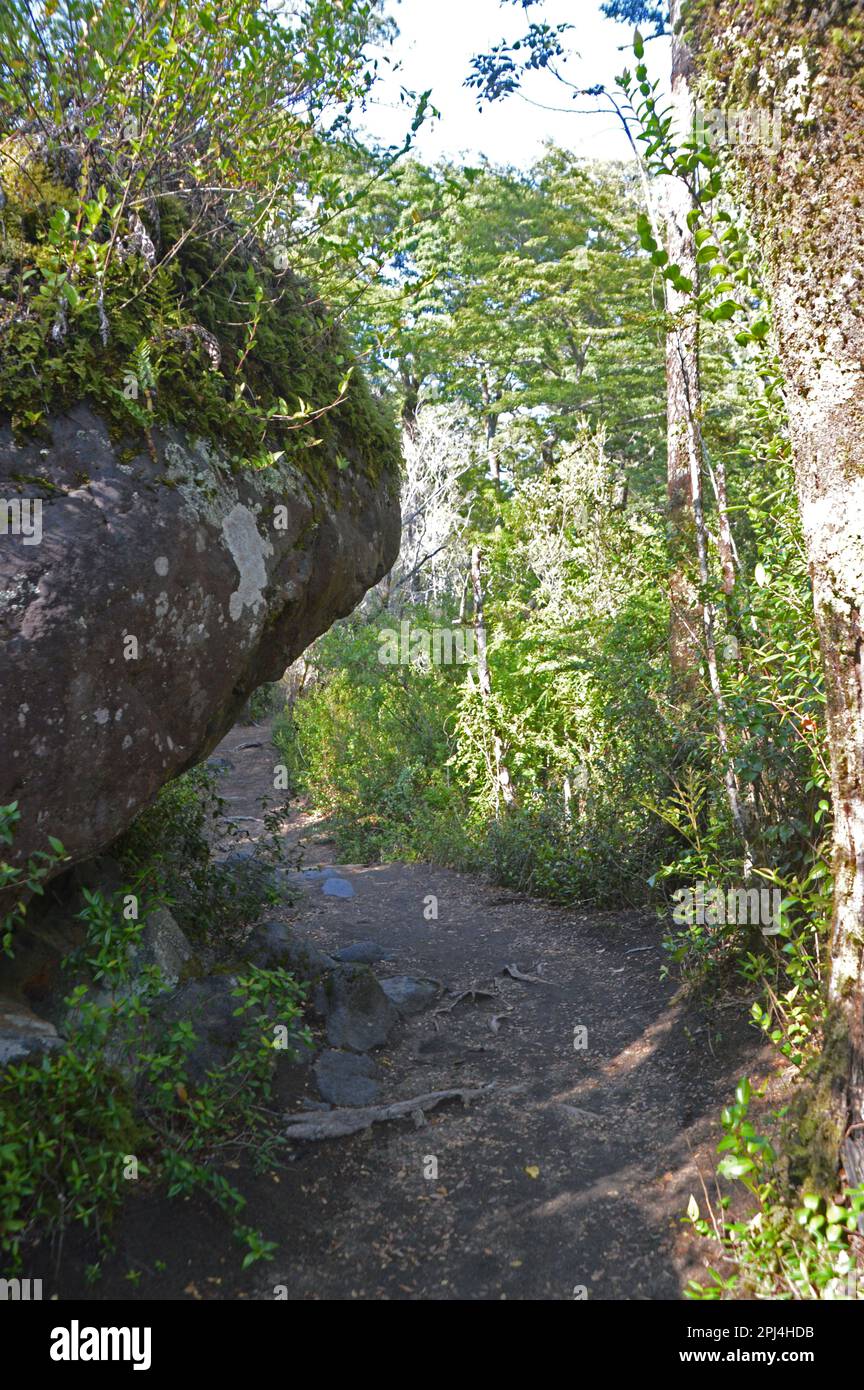 Chile. Puerto Varas: Vicente Perez Rosales National Park: the Petrohue ...
