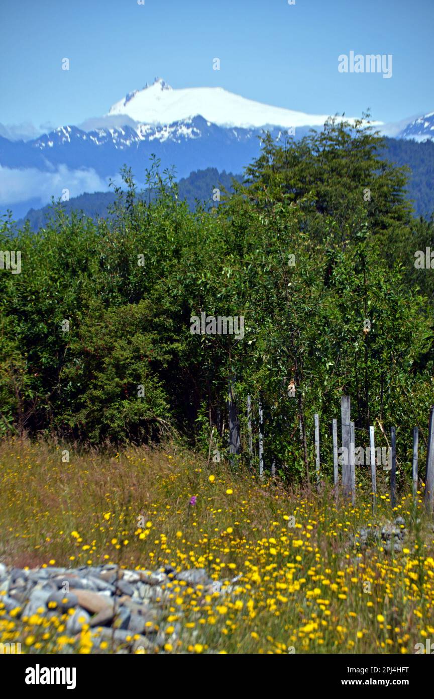 Chile. Chaiten: view of the volcano Michinmahuida (2450 metres) with ...