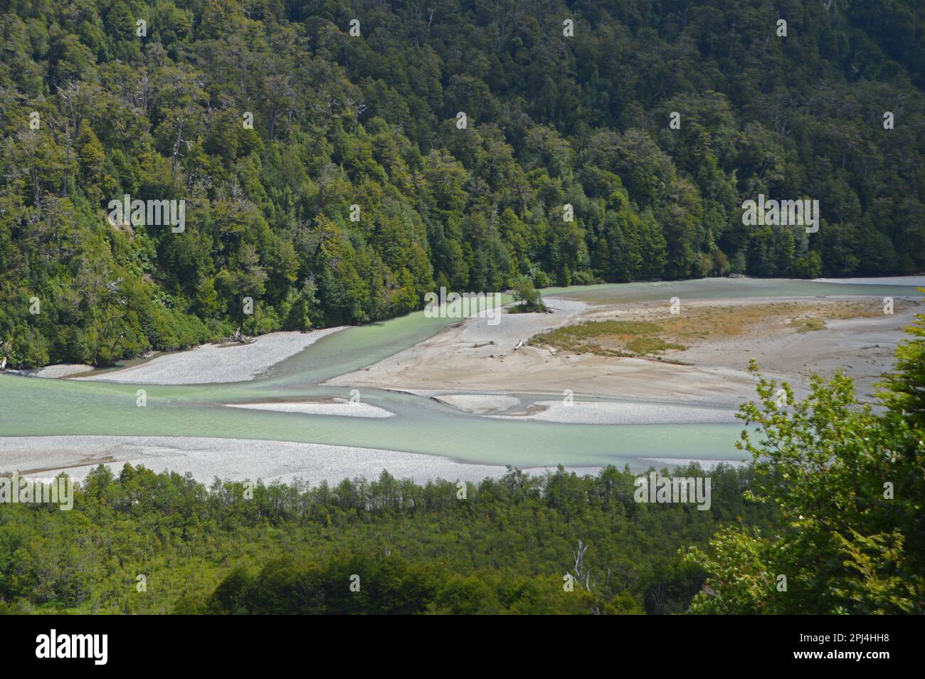 Chile, Patagonia: view of the Rio Murta valley, densely covered with ...