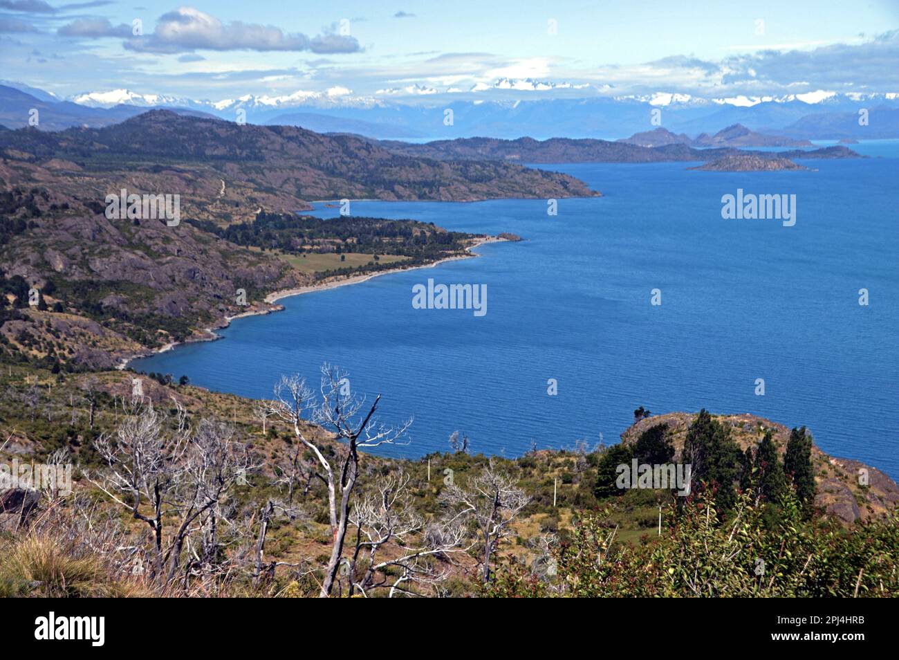 Chile, El Maiten: Lago General Carrera is the largest lake in Chile and ...