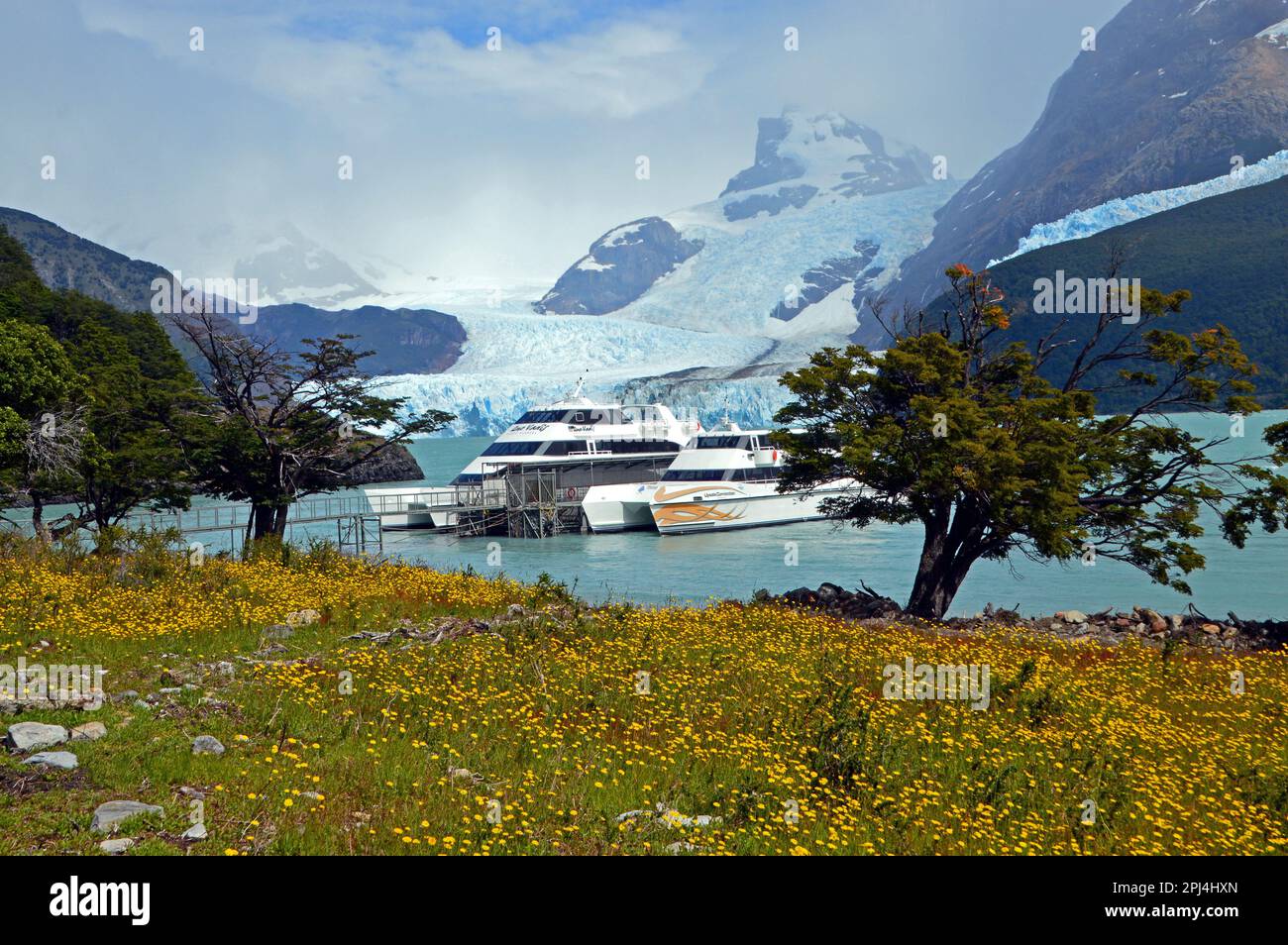 Argentina, Los Glaciares National Park: glacier in the distance, with ...