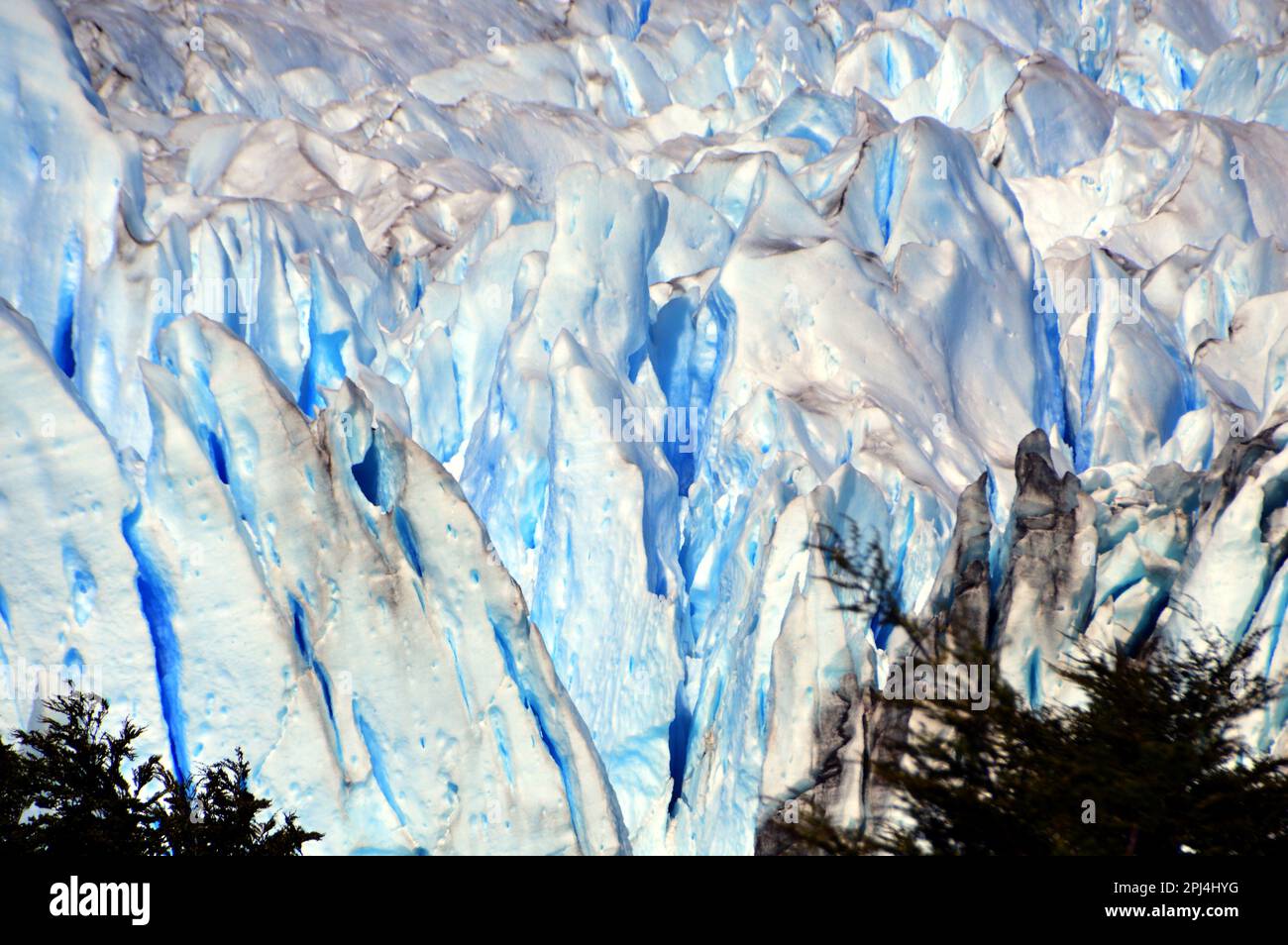 Argentina, Los Glaciares National Park: the Perito Moreno Glacier which ...