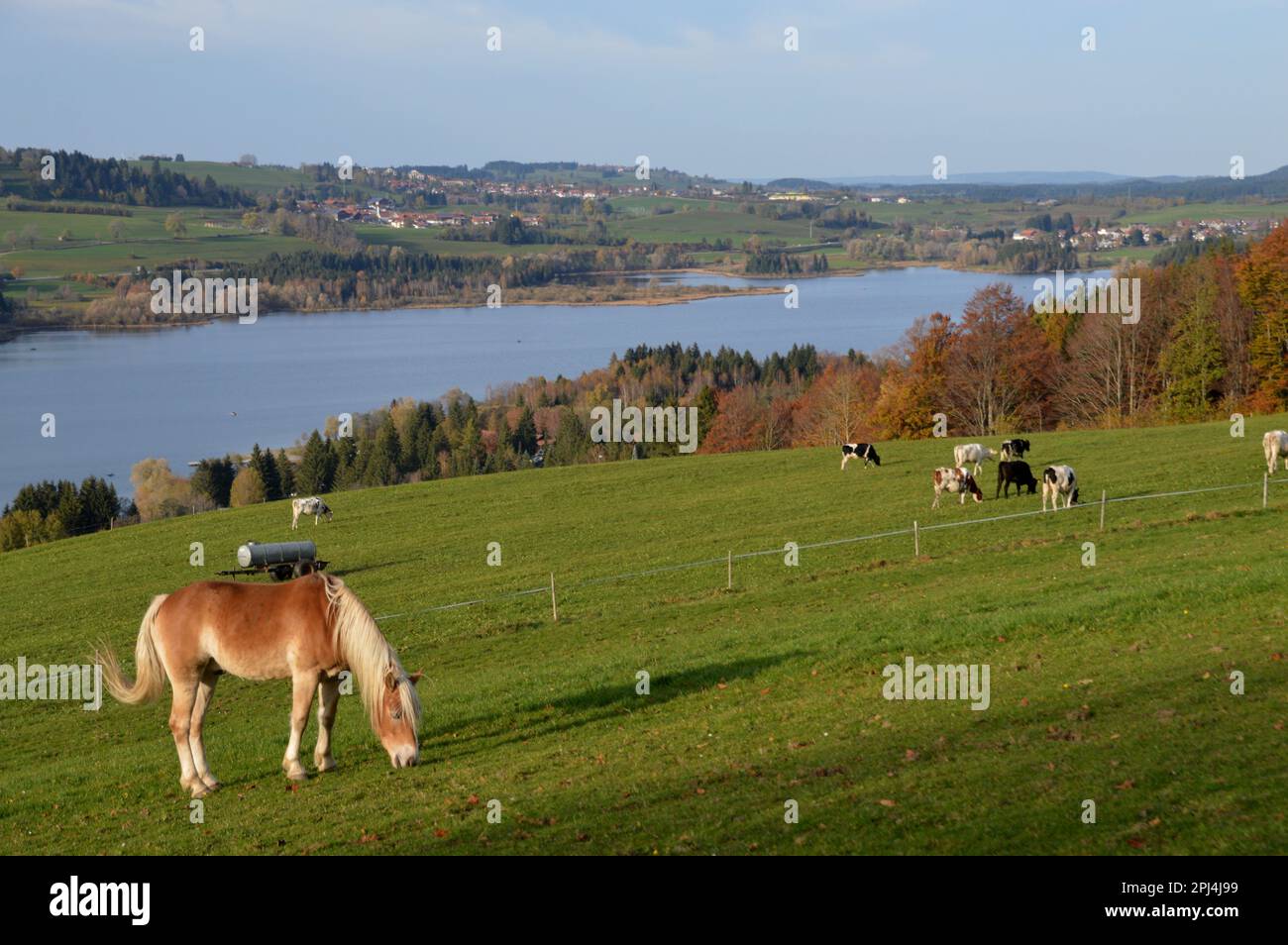 Germany, Upper Bavaria, Wertach: view of the Grüntensee (Lake Grünten ...