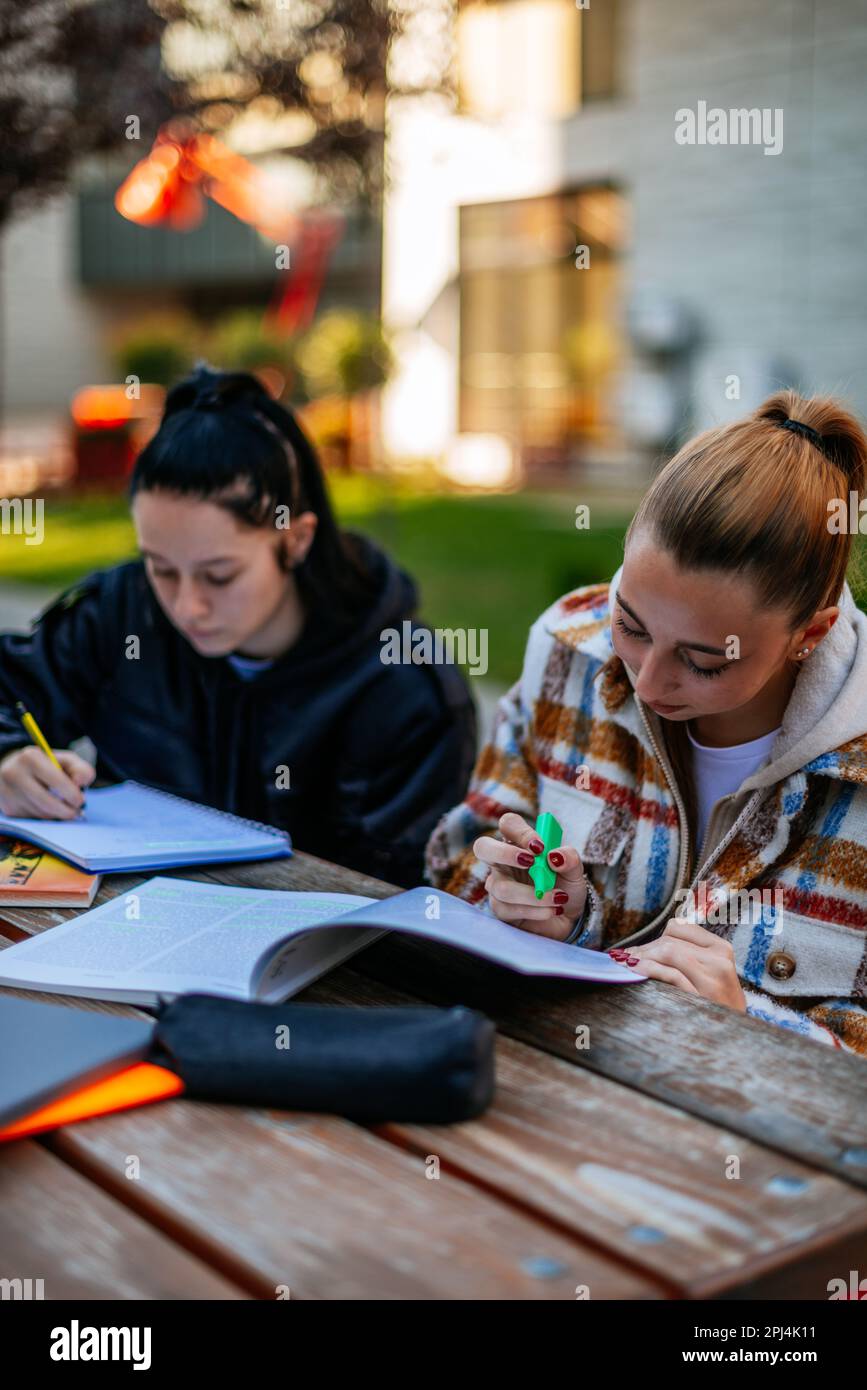 Tutoring learners hi-res stock photography and images - Alamy