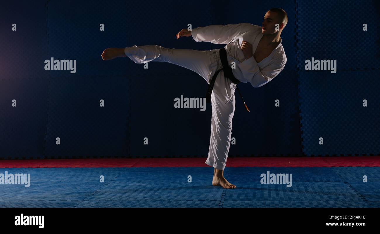 Original Karate Kid Kick