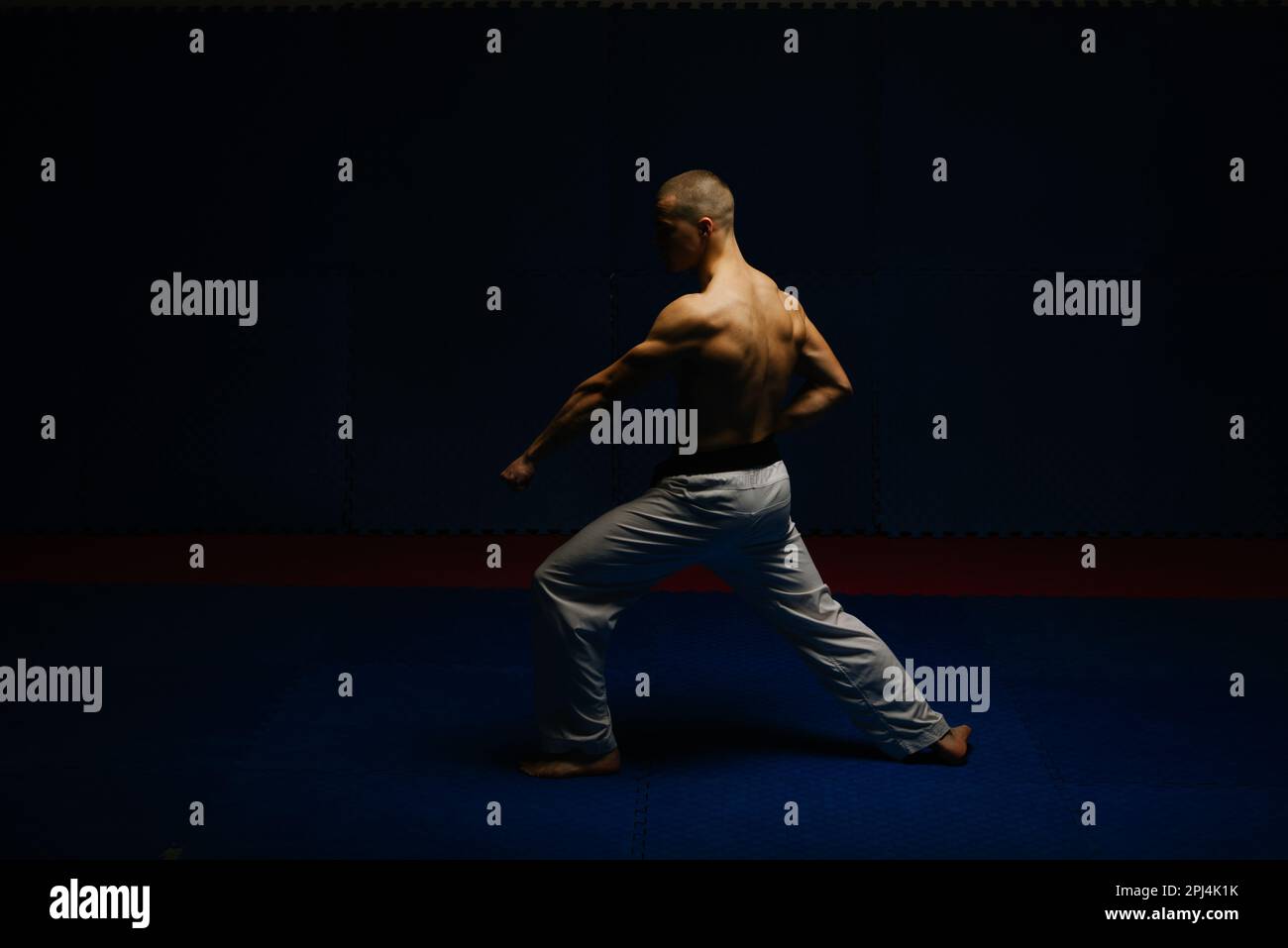 Good looking young karatist doing the Gedan Barai pose at the karate ...