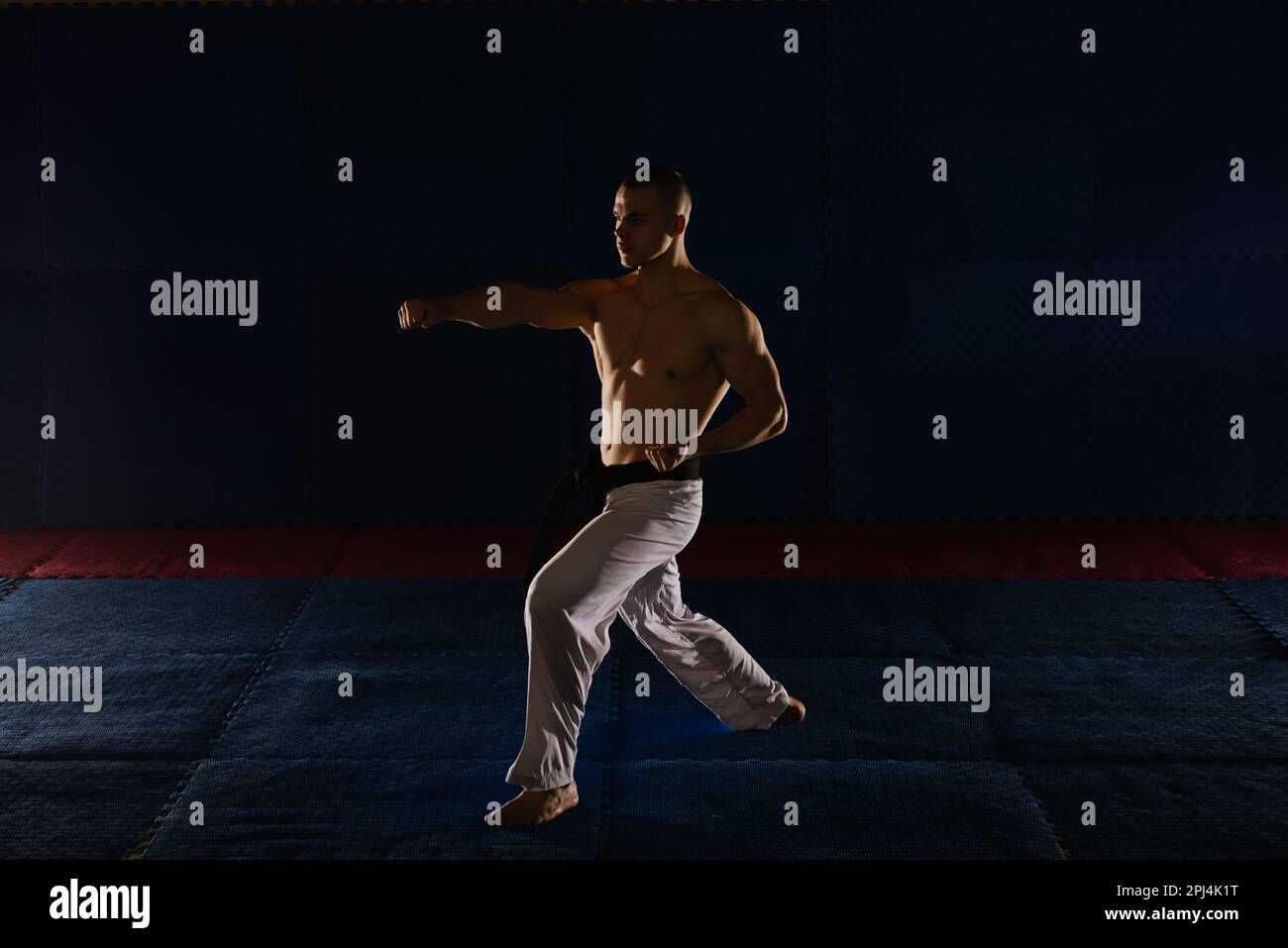 Silhouette of a good looking karatist with black belt doing the Oi ...