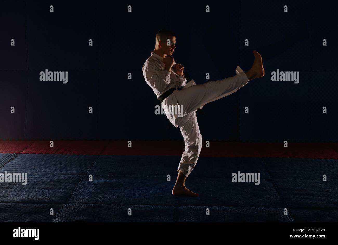 Silhouette of a young man doing the Mae Geri pose at the karate studio ...