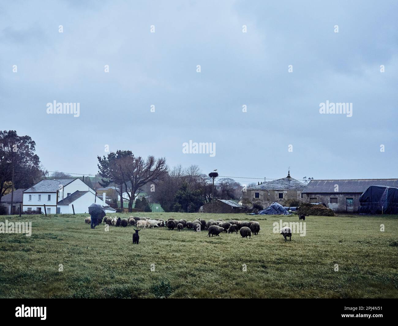 Work in Galician countryside Stock Photo - Alamy