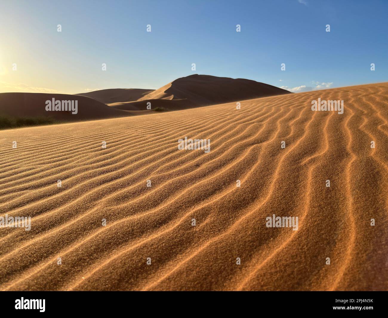 Dunes in the Sahara desert, Merzouga desert, grains of sand forming ...