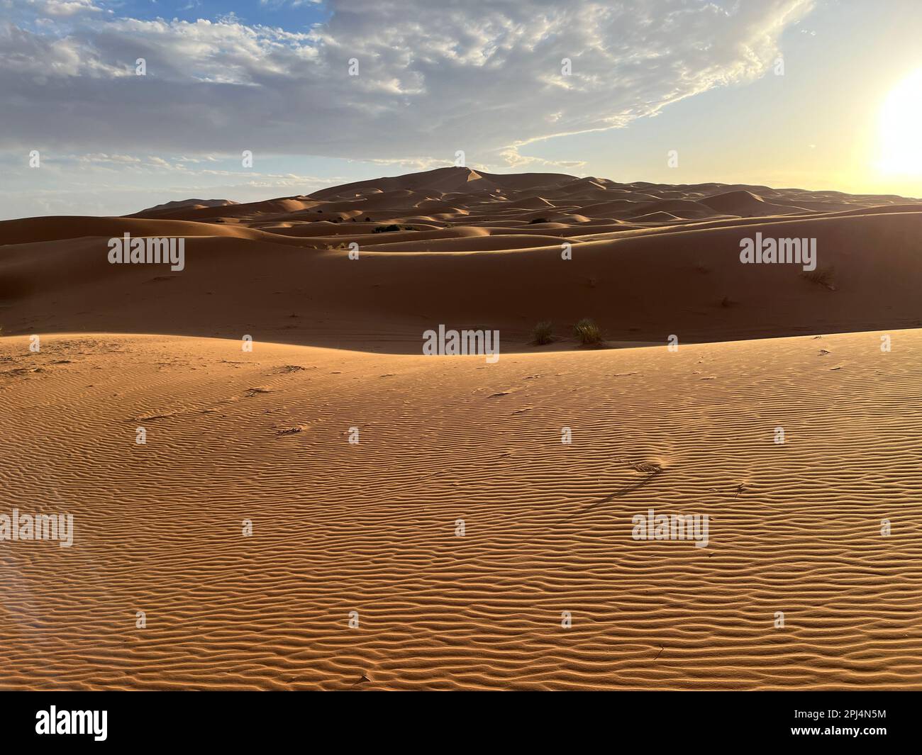 Dunes in the Sahara desert, Merzouga desert, grains of sand forming ...