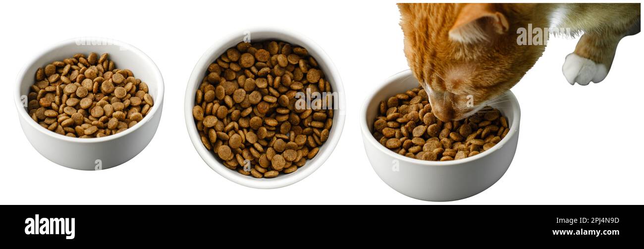 Cat food in bowl isolated on white background. Cat eating dry meal from ...