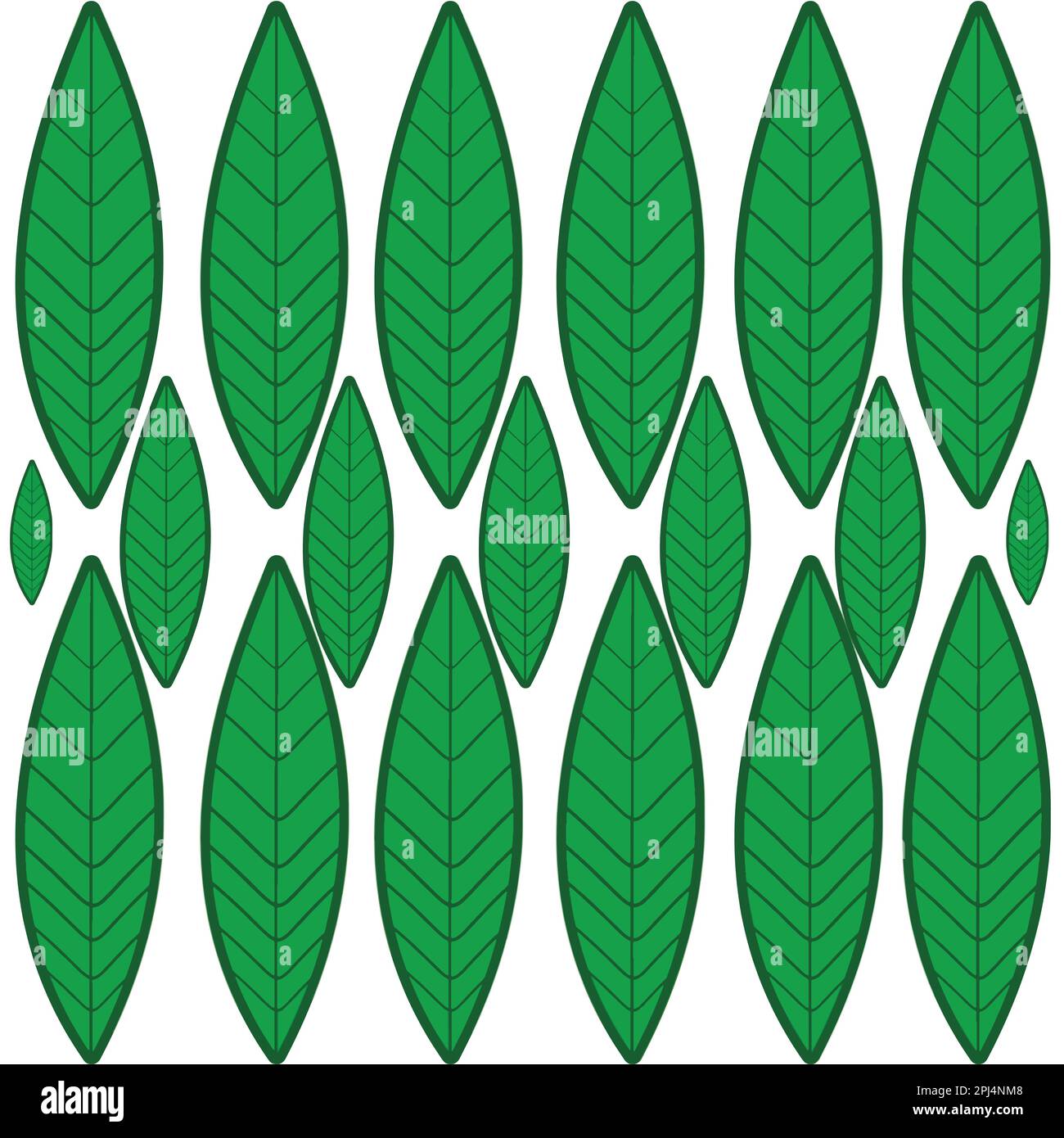 Green leaves pattern. illustration. Isolated on white background Stock ...