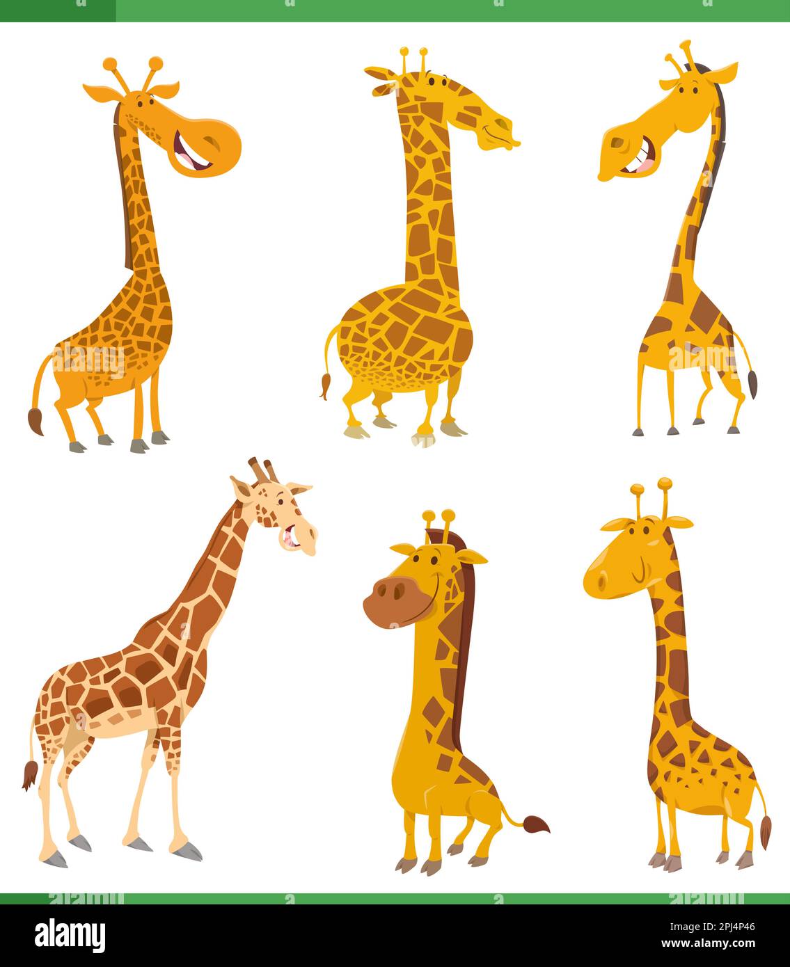 Cartoon illustration of funny giraffes wild animal characters set Stock ...