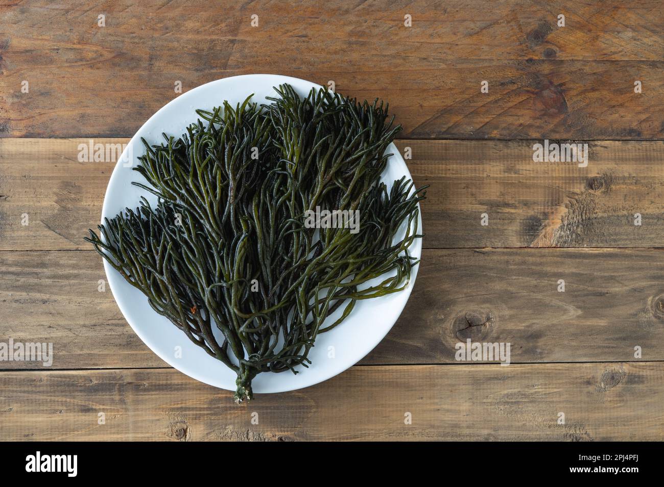 Codium fragile. Green algae in a ceramic dish on a wooden background ...