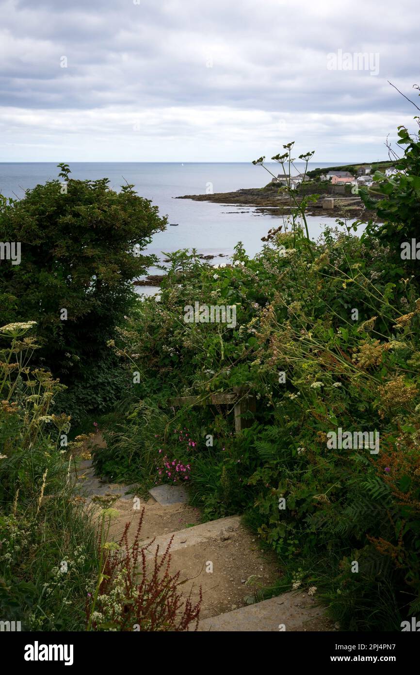 Hide footpath at Roseland Peninsula, Cornwall UK Stock Photo - Alamy