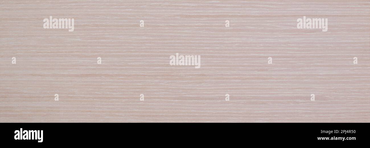 White Bleached Oak wood panel texture panorama pattern Stock Photo - Alamy