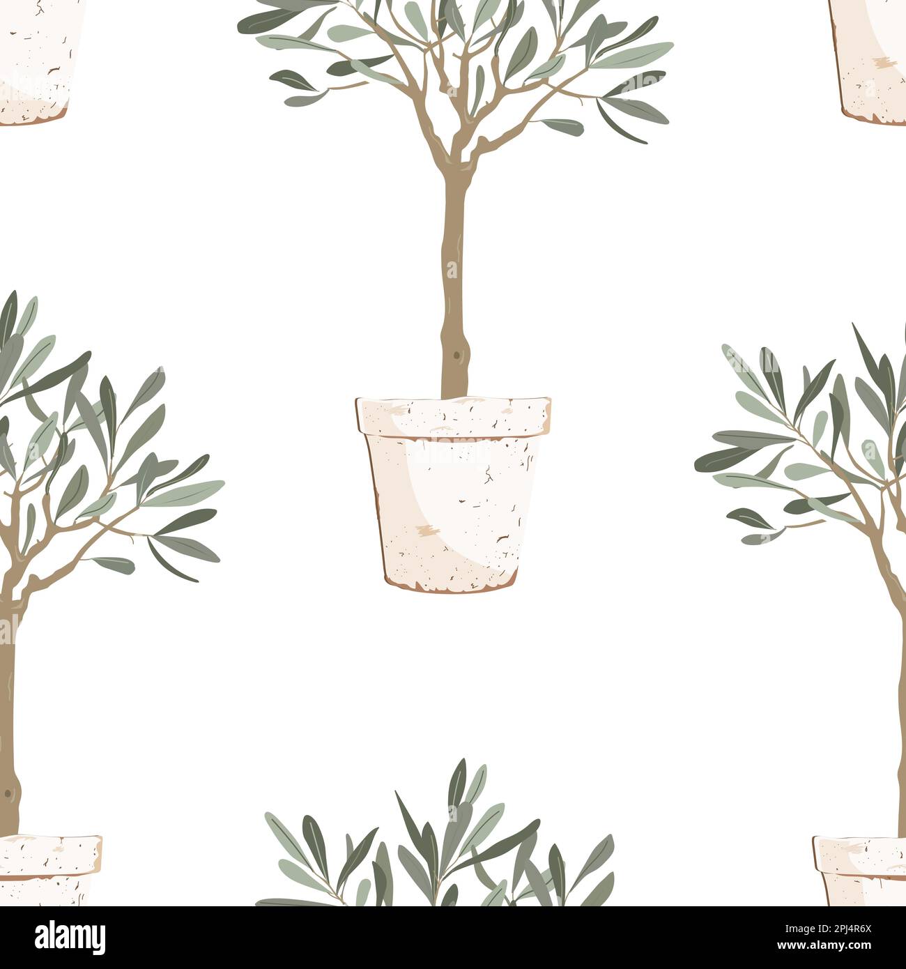 Beautiful young potted olive tree seamless pattern. Vector illustration ...