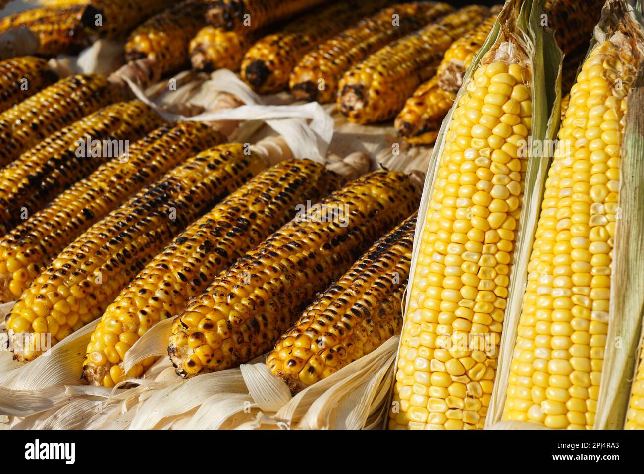 Fresh baked corn cobs hi-res stock photography and images - Alamy